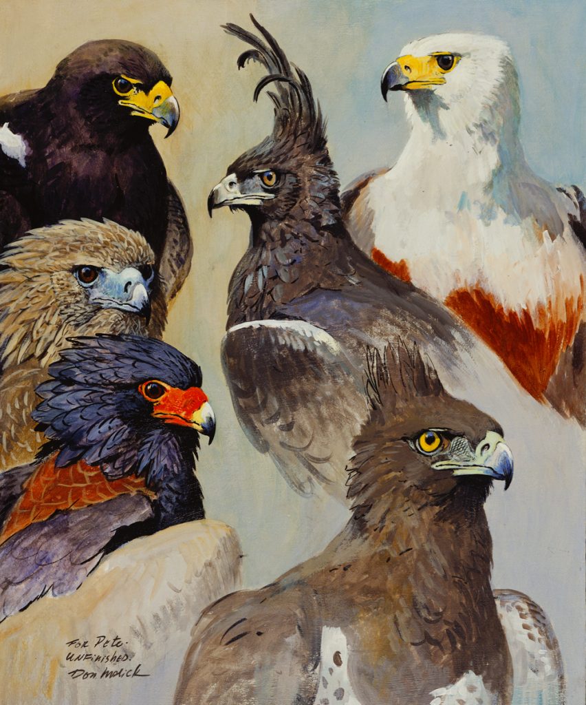 Donald L. Malick – Raptor Education Foundation