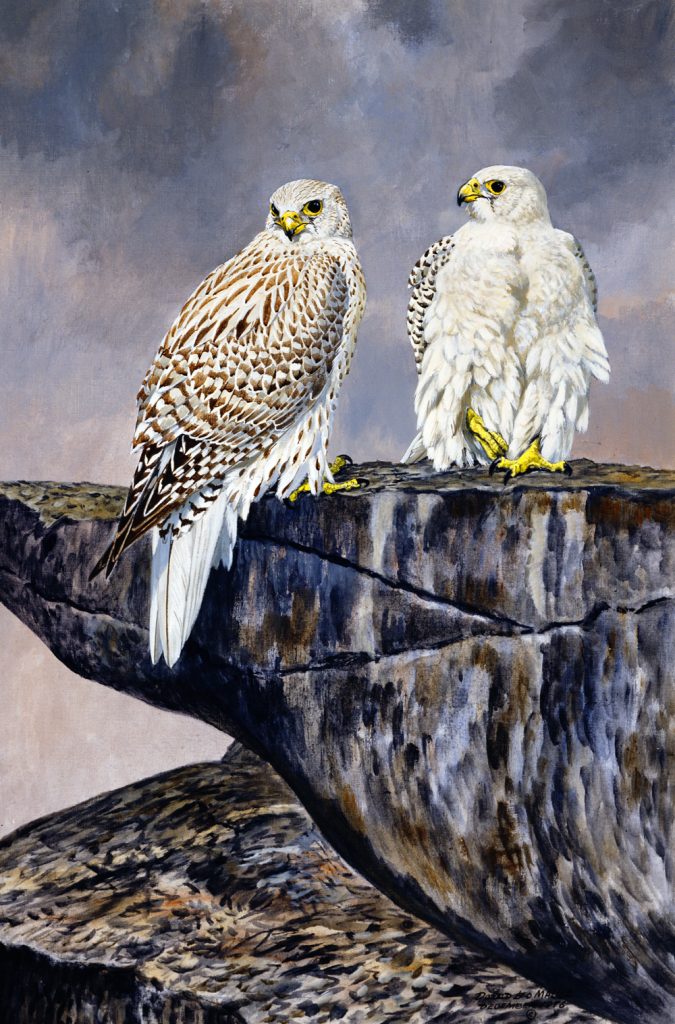 Donald L. Malick – Raptor Education Foundation