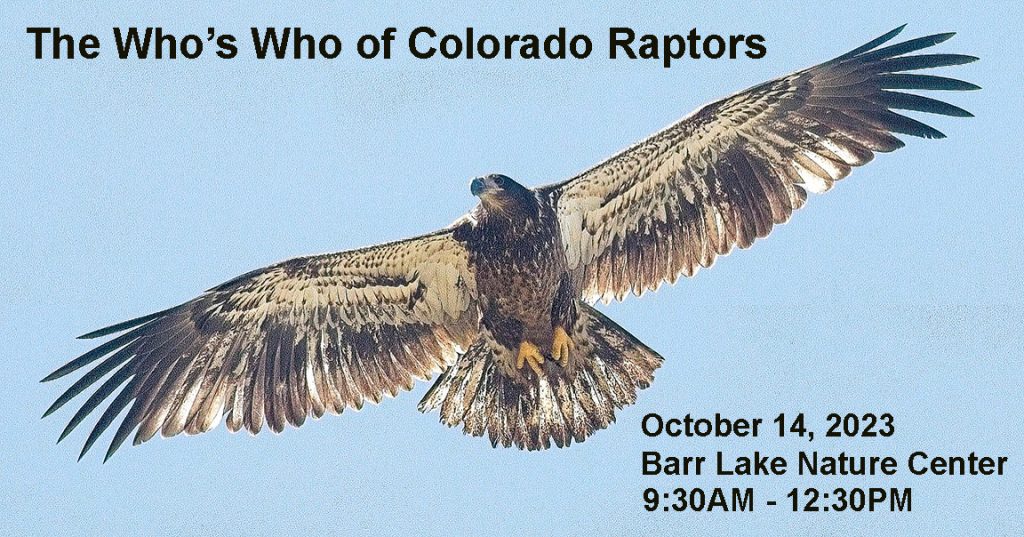 Raptor ID Class: The Who’s Who of Colorado Raptors – Raptor Education ...